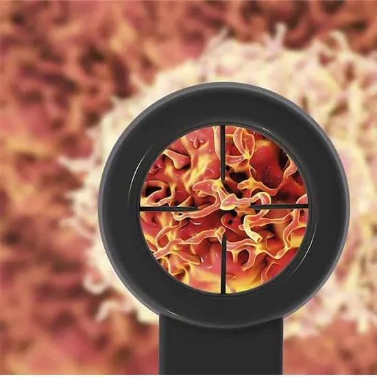 FoundationOne CDx Test Near You in Delhi | Book Test at Low Price