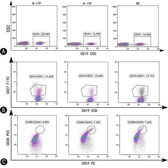 CD19 Flow Cytometry Absolute Count Test in Delhi NCR, India | GDIC