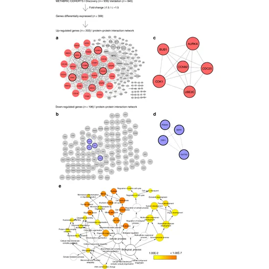 GeneCORE Oncotype MAP Panel 2 Test in Delhi, India | GDIC