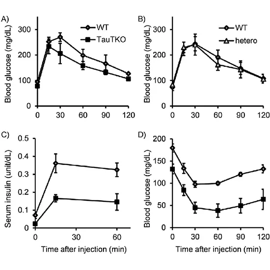 Insulin Tolerance Test in Delhi NCR, India | GDIC