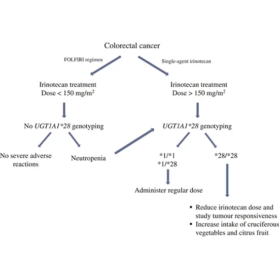 Irinotecan Toxicity Genotyping (UGT1A1) Test in Delhi | GDIC