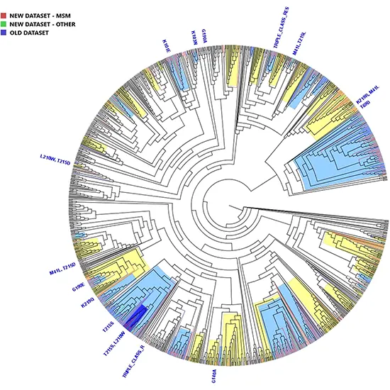Types Of Hiv/Aids Tests | Price List Hiv/Aids In Delhi, India | Ganesh ...