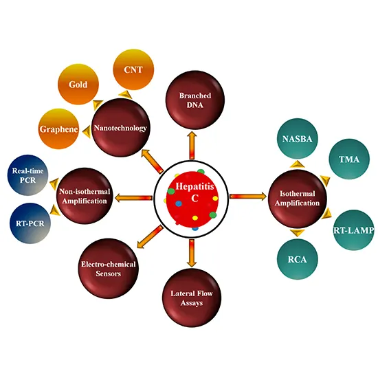 Book HCV RNA Quantitative & Genotyping | Test Price In Delhi, India ...