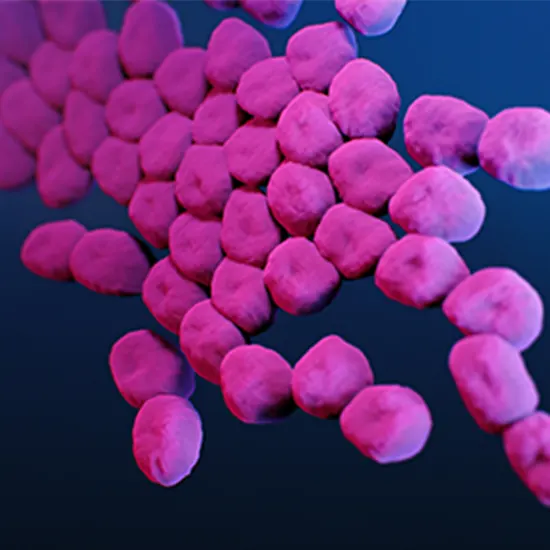 Acinetobacter Baumannii | Test Price in Delhi | Ganesh Diagnostic