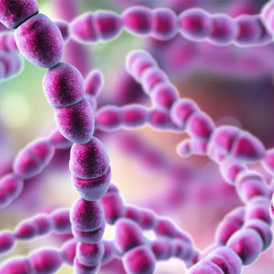 Group A Streptococcal Infection | Test Price in Delhi | Ganesh Diagnostic