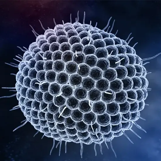 Shingles Herpes Zoster | Test Price in Delhi | Ganesh Diagnostic