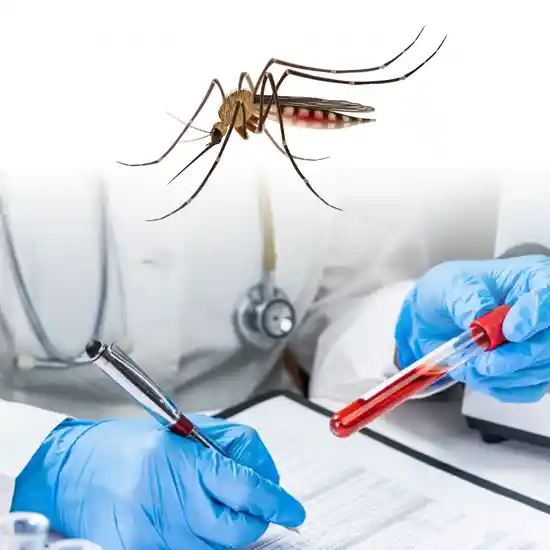 Dengue Qualitative PCR Test | Dengue Qualitative PCR Test in Delhi