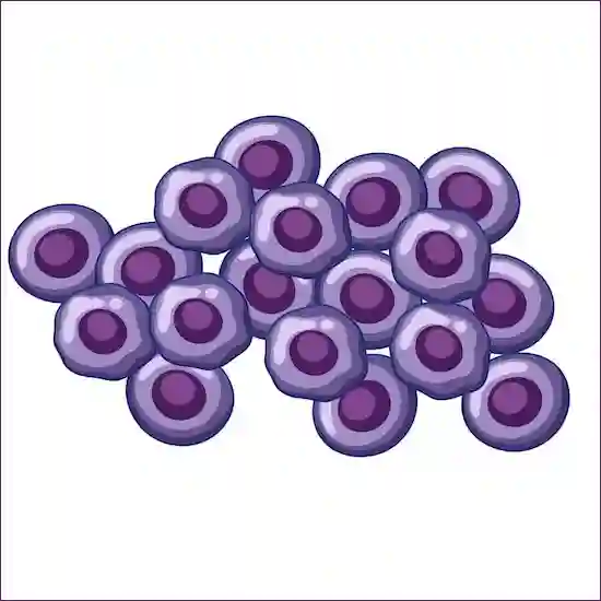 C-KIT Mutation Detection Near You in Delhi | Book Test at Low Price ...