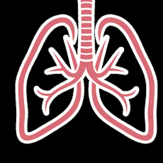 Biofire Pneumonia Plus Panel Test in Delhi NCR, India | GDIC