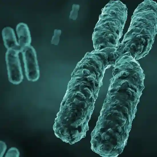 Book Anti Smooth Muscle A/B (ASMA) IFA | Test Price & Cost