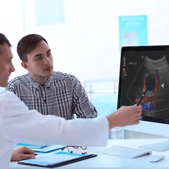 Renal Color Doppler Scan - Book Your Test at Low Price | Ganesh Diagnostic