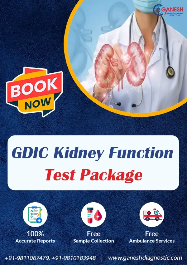 GDIC Kidney Function Test Package | Get Flat 60% Discount | Ganesh ...