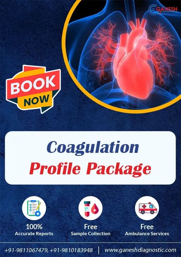 Full Body Health Check-Up - Book Health Packages at Low Cost