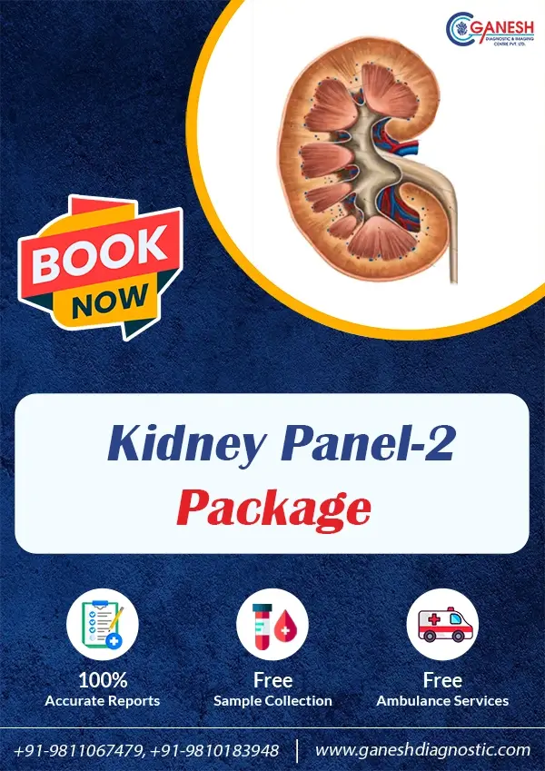 Full Body Health Check-Up - Book Health Packages at Low Cost